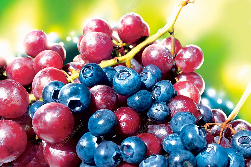 Grape Blueberry Flavor Concentrate 9004 30ml • Magical Flavour Wholesale
